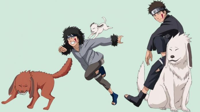 Tìm hiểu về chú chó Akamaru đặc biệt trong Naruto