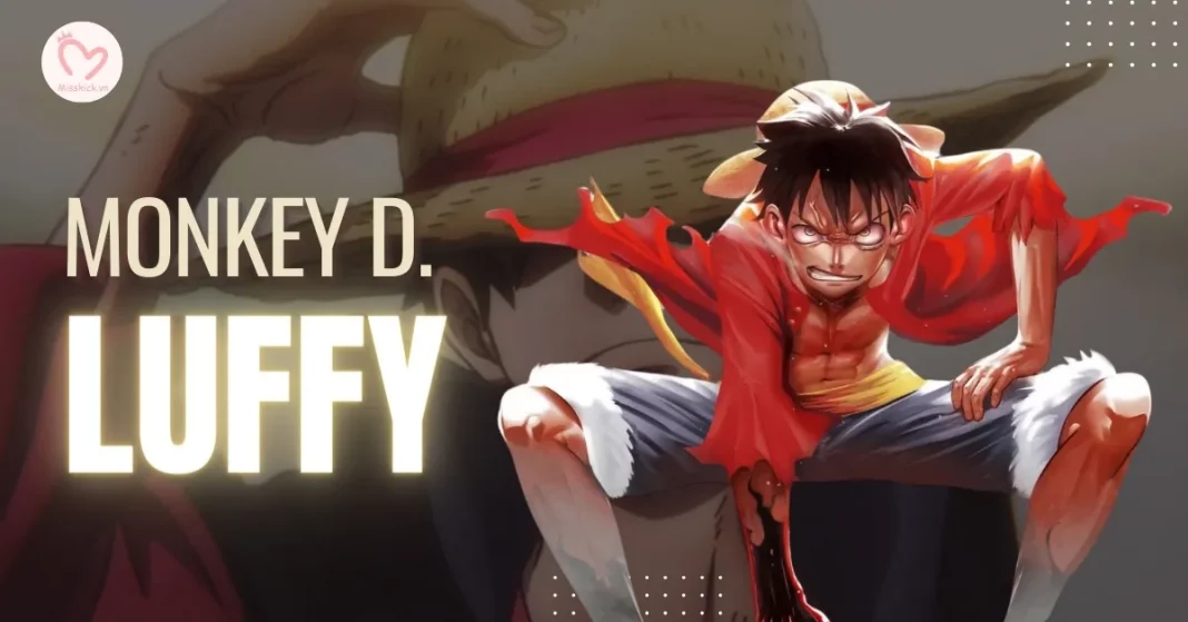 Monkey D. Luffy - Tìm hiểu về vua hải tặc Mũ Rơm