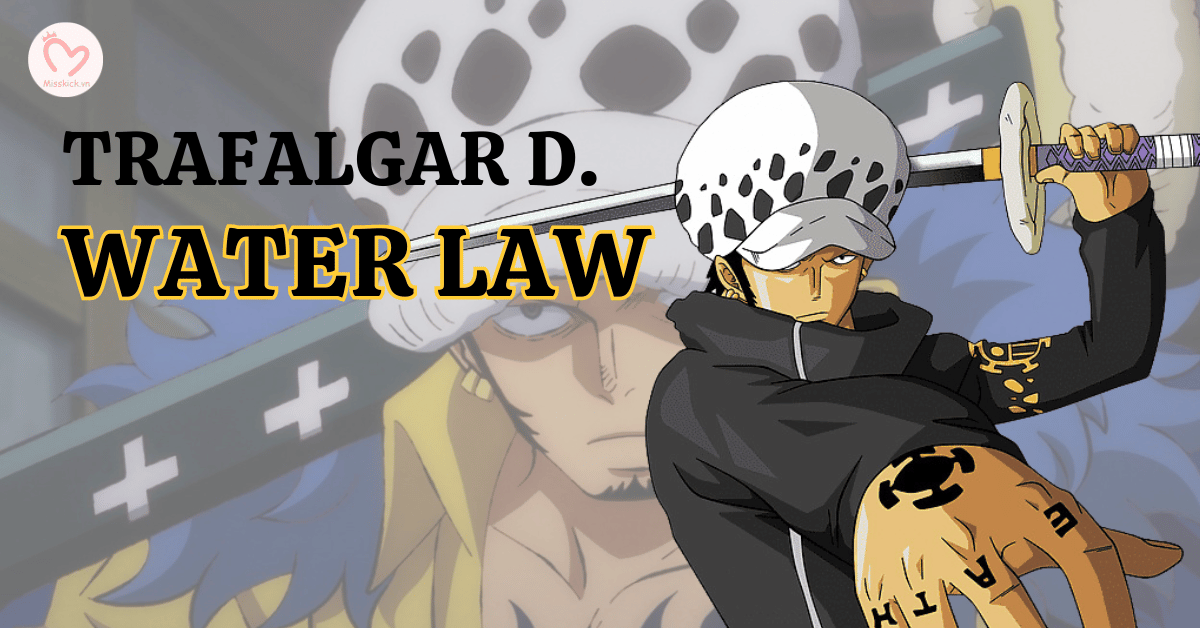 Trafalgar D. Water Law - Tìm hiểu về bác sĩ tử thần Law trong One Piece ...